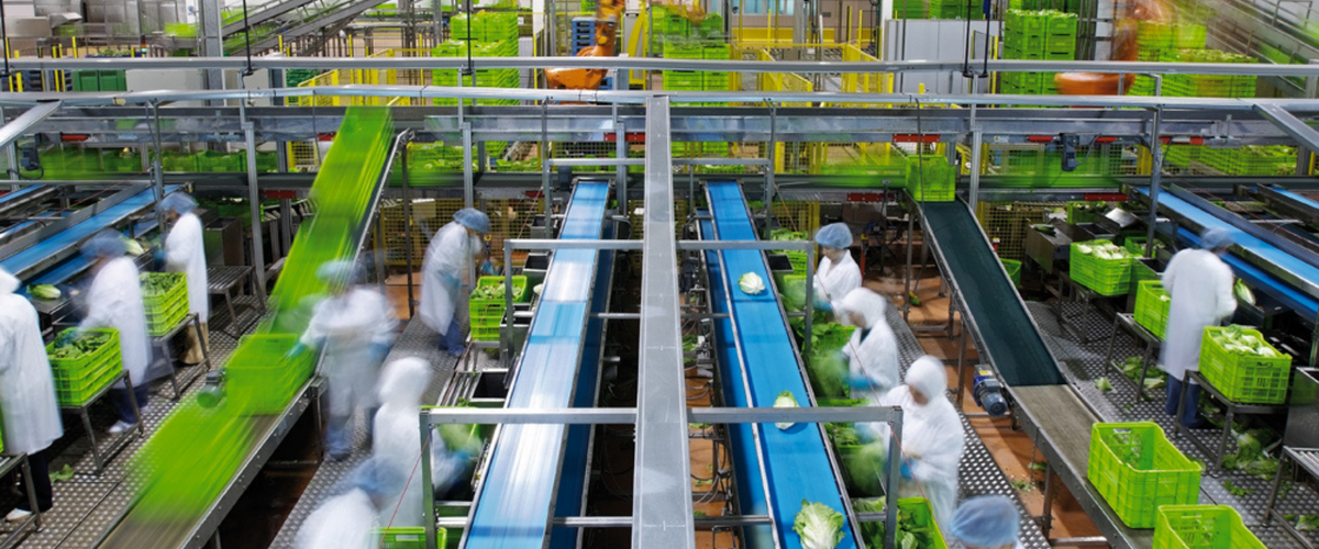 Temperature-Controlled Warehouse Operations | TGW Logistics